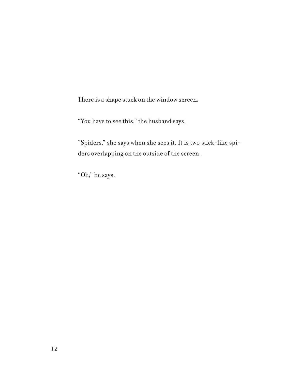 Rachel Zucker The Pedestrians – Wave Books